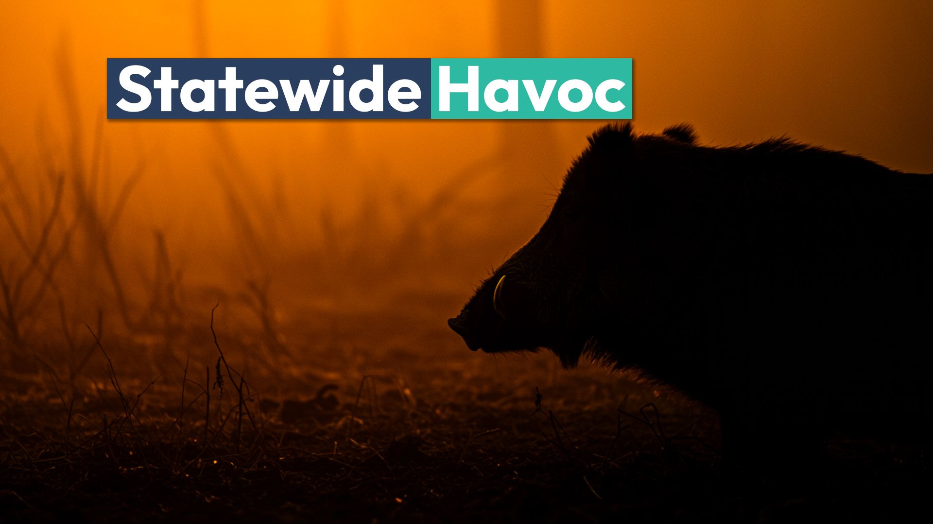 This Animal Is Causing Havoc In Almost Every County In This U.S. State