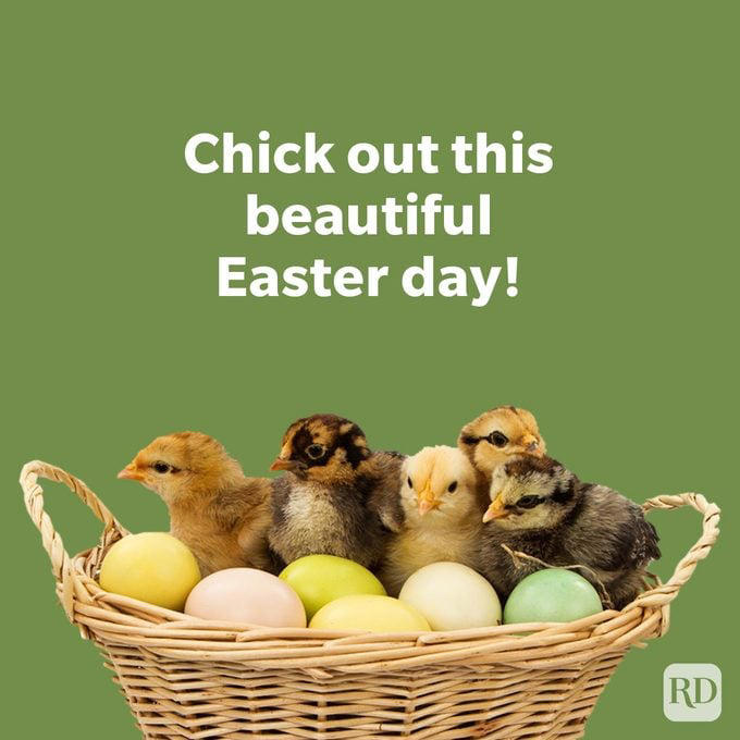108 eggs-tra funny Easter puns to break out this year