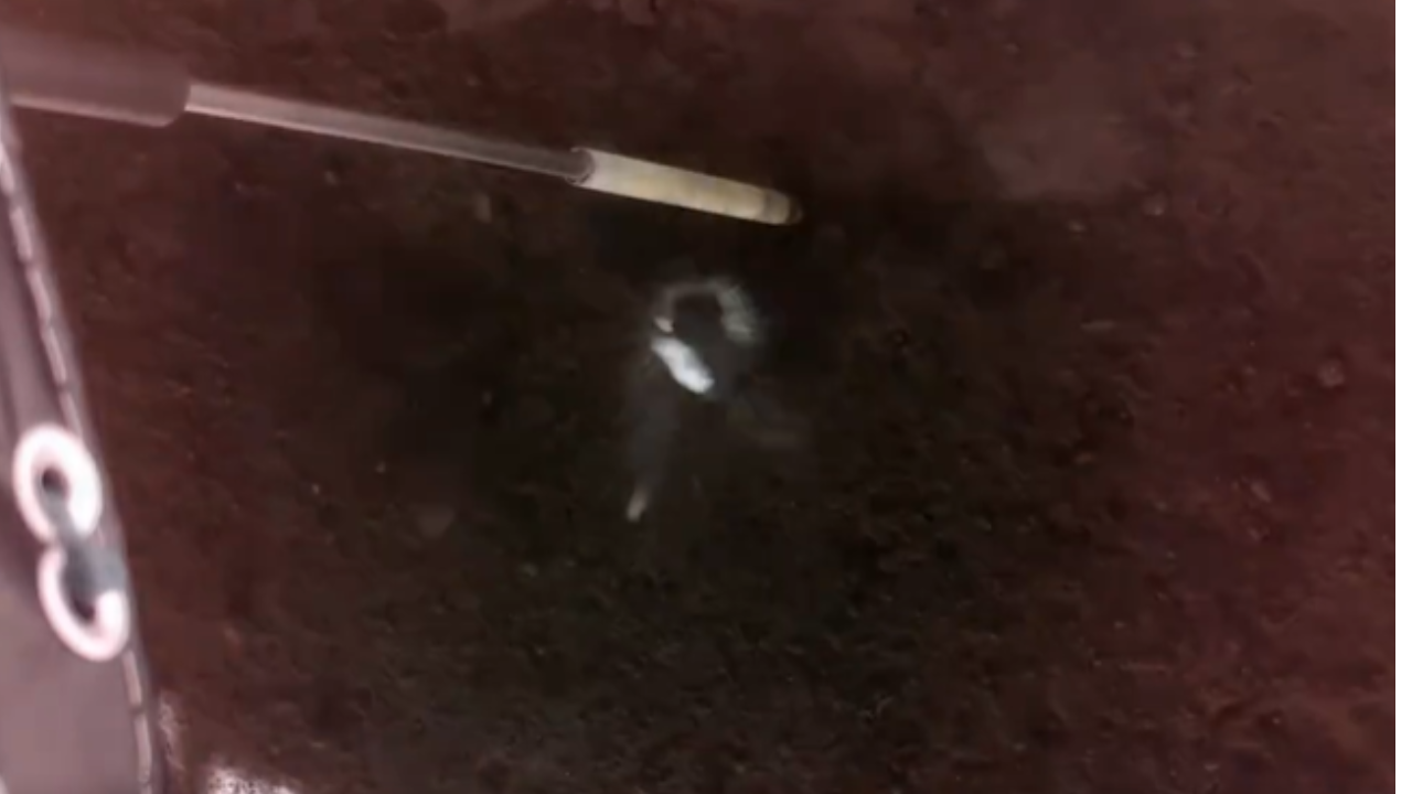 Watch: Sparks fly as Firefly's Blue Ghost lander drills into moon's surface