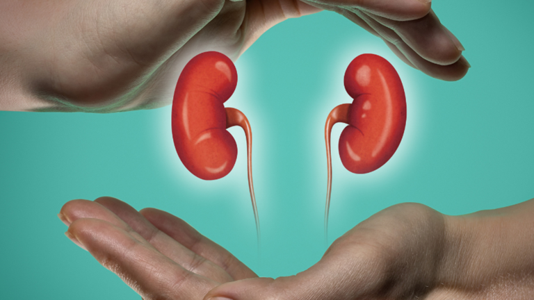 World Kidney Day 2025: Theme, History, and Significance