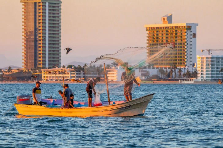 Qué es la Carta Nacional pesquera y sus diez especies de importancia ...