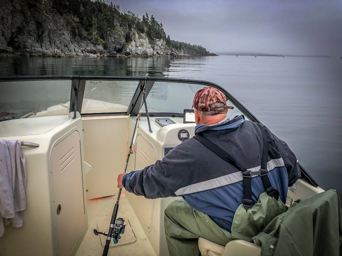 PAUL SMITH: A tuck of cod heads and uncommon fly fishing notions