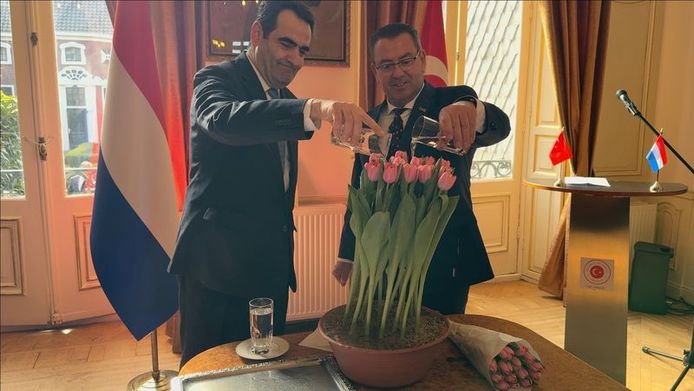 Hollandada yetiştirildi, Kızılırmak ismi verildi