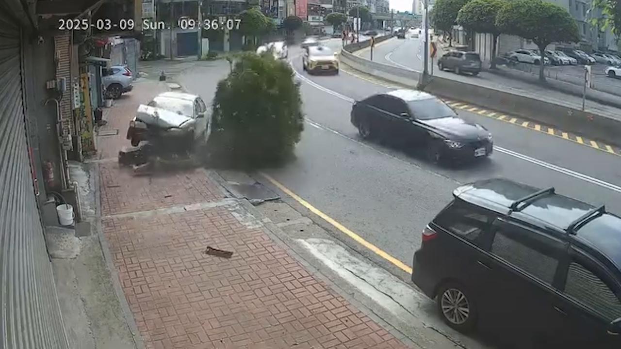 Car crashes into tree causing it to topple over