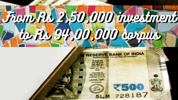 One-time Investment for Retirement Planning: How Rs 2,50,000 lump sum ...