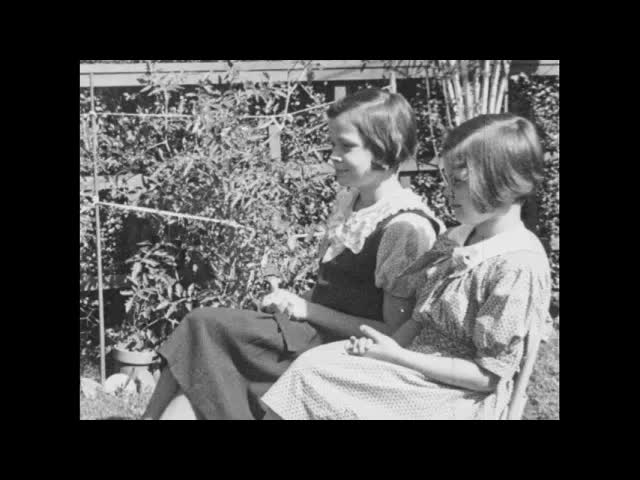 Acoustics & The Inner Ear: Sound Waves, Refraction, and Auditory Nerve