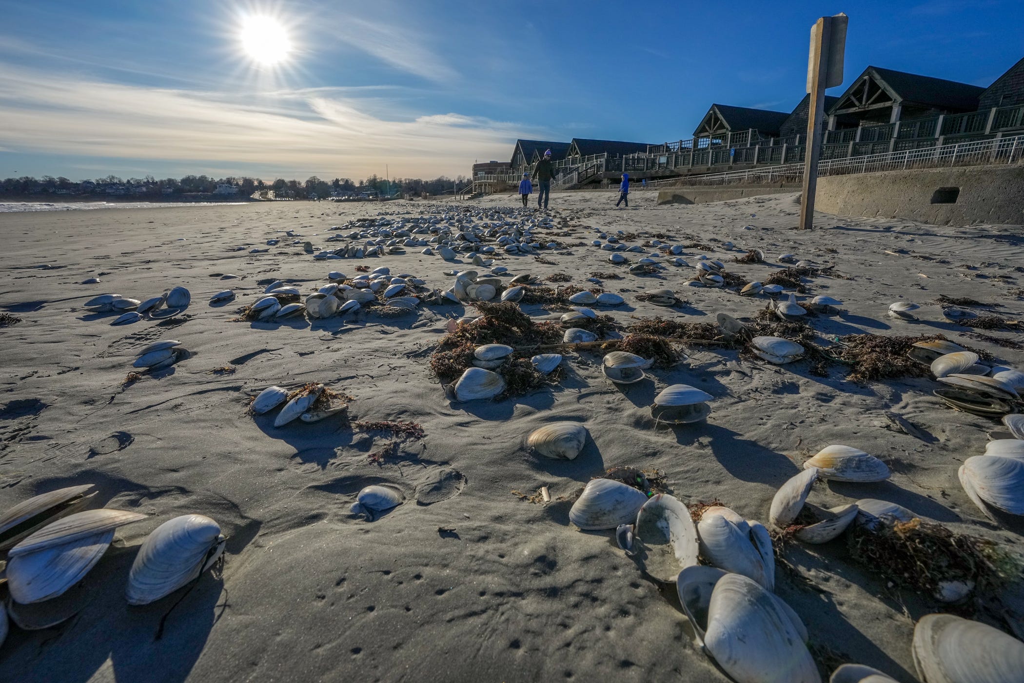 Swimmers warned about high bacteria counts at two popular RI beaches ...