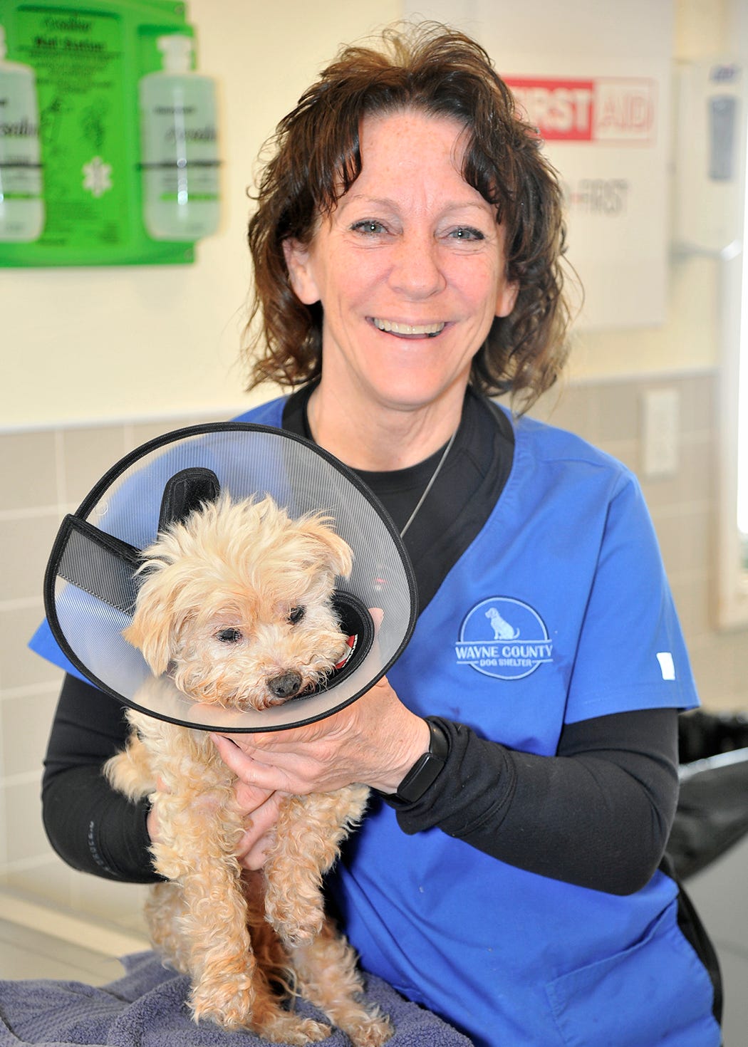 Wayne County Dog Shelter asking for supplies - here's how residents can ...