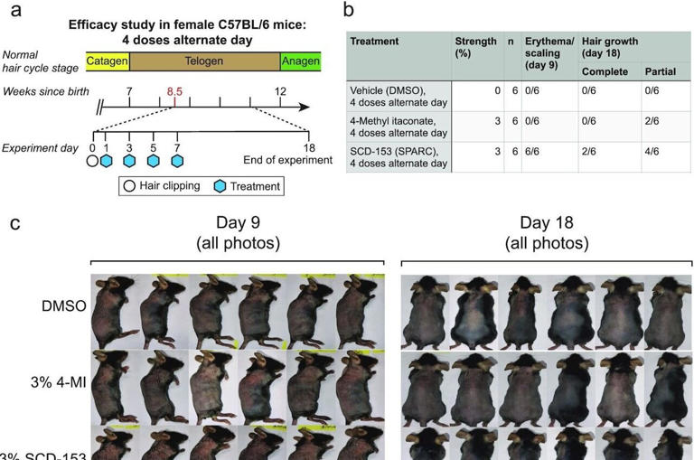 Scientists are on track to find a treatment for autoimmune hair loss