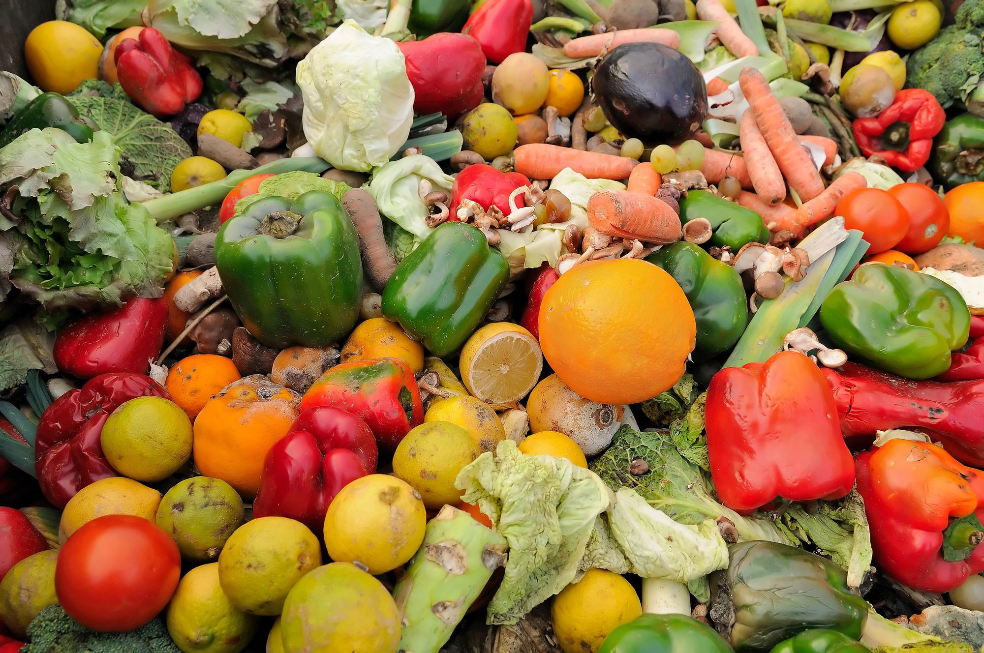 Office workers throw away enough food waste per week to charge a mobile ...