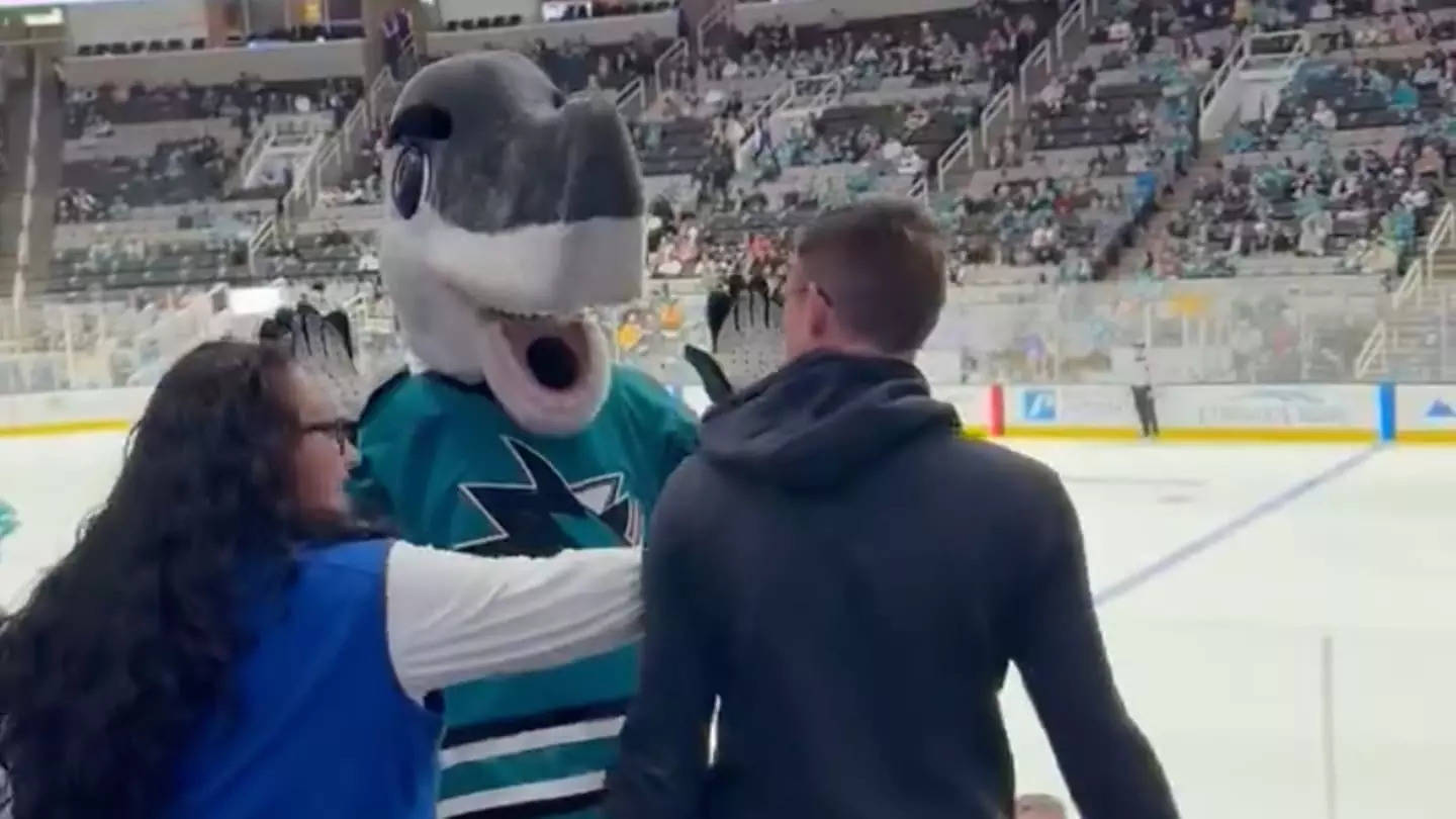 "Sharkie didn’t sign up for this!’: Fan’s heated altercation with ...
