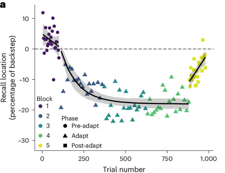 Errors in attention adaptively impact spatial working memory, study finds