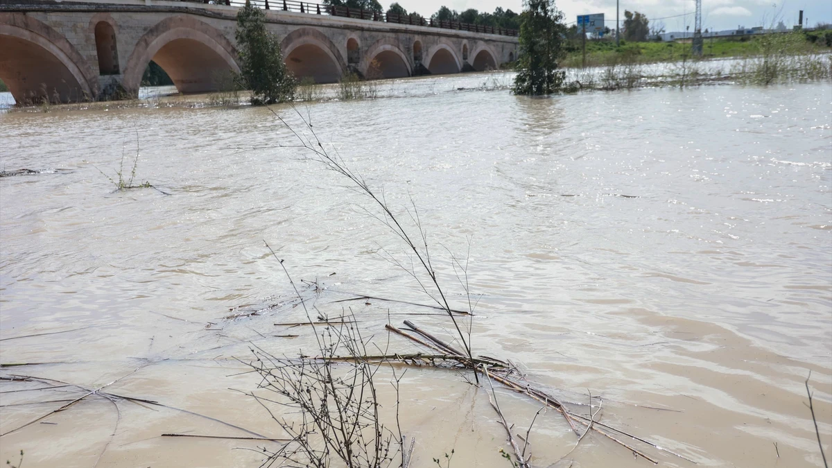 Temor al desbordamiento del río Guadalete en Jerez: desalojadas 200 ...