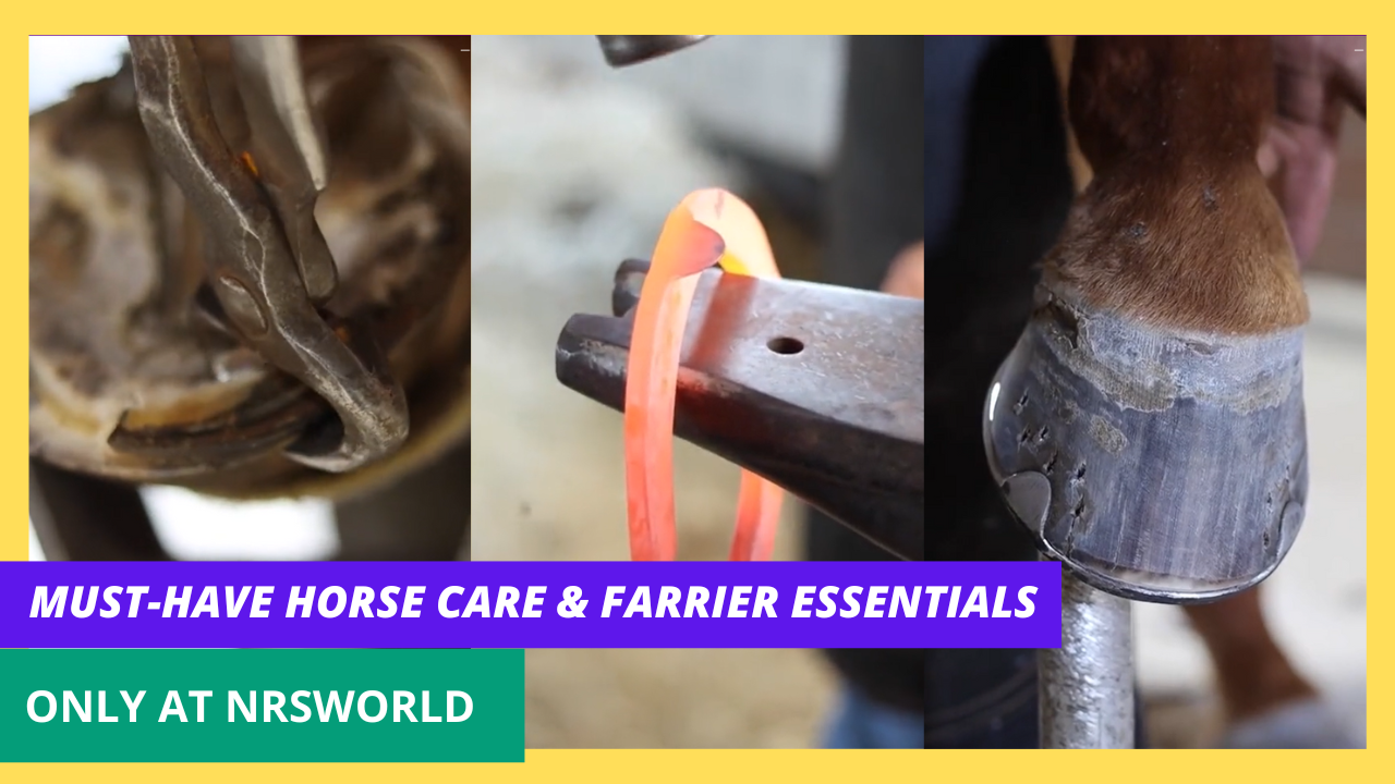 Must-Have Horse Care & Farrier Essentials – Only at NRSWorld
