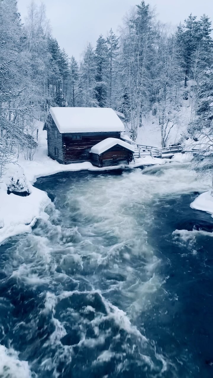 Deep in the Finnish Forest – A Hidden Nordic Wonderland!