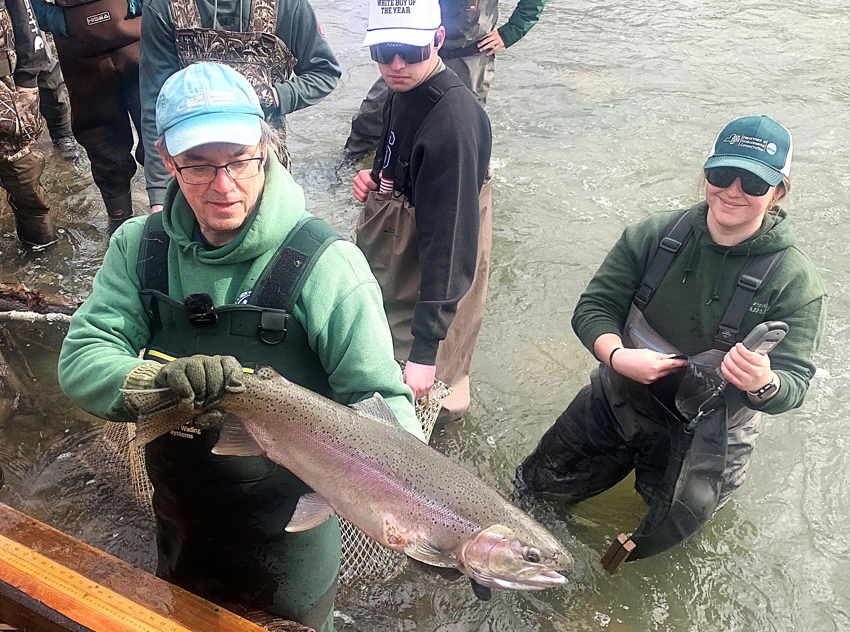 Will Catharine Creek, others be full of rainbow trout April 1? DEC samples population