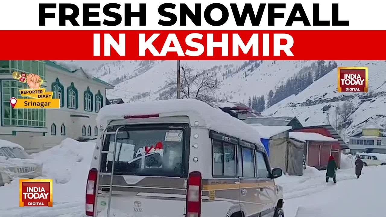 Fresh snowfall in Kashmir: Cold wave returns in the Valley