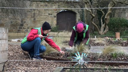 Preview: Horsforth Community Garden launch