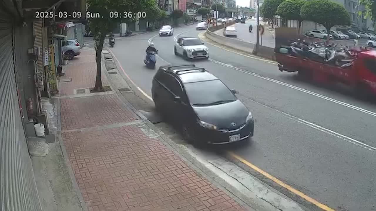 Car crashes into tree causing it to topple over