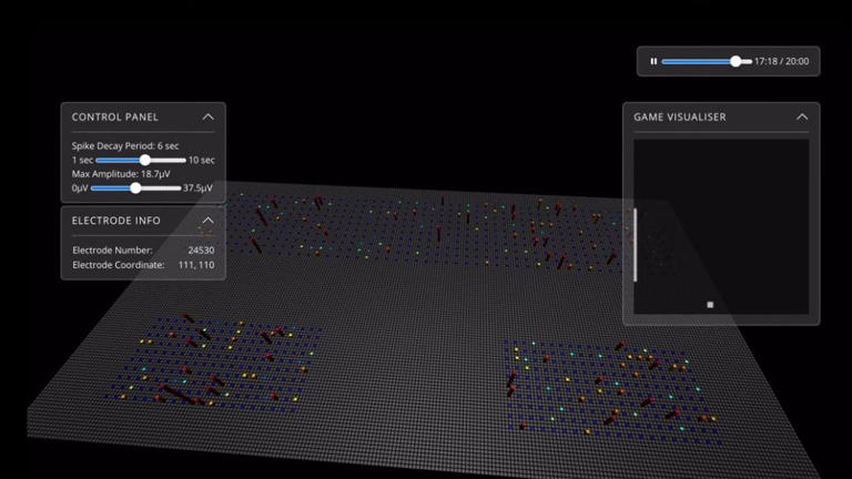 Ecco CL1, il primo computer biologico al mondo