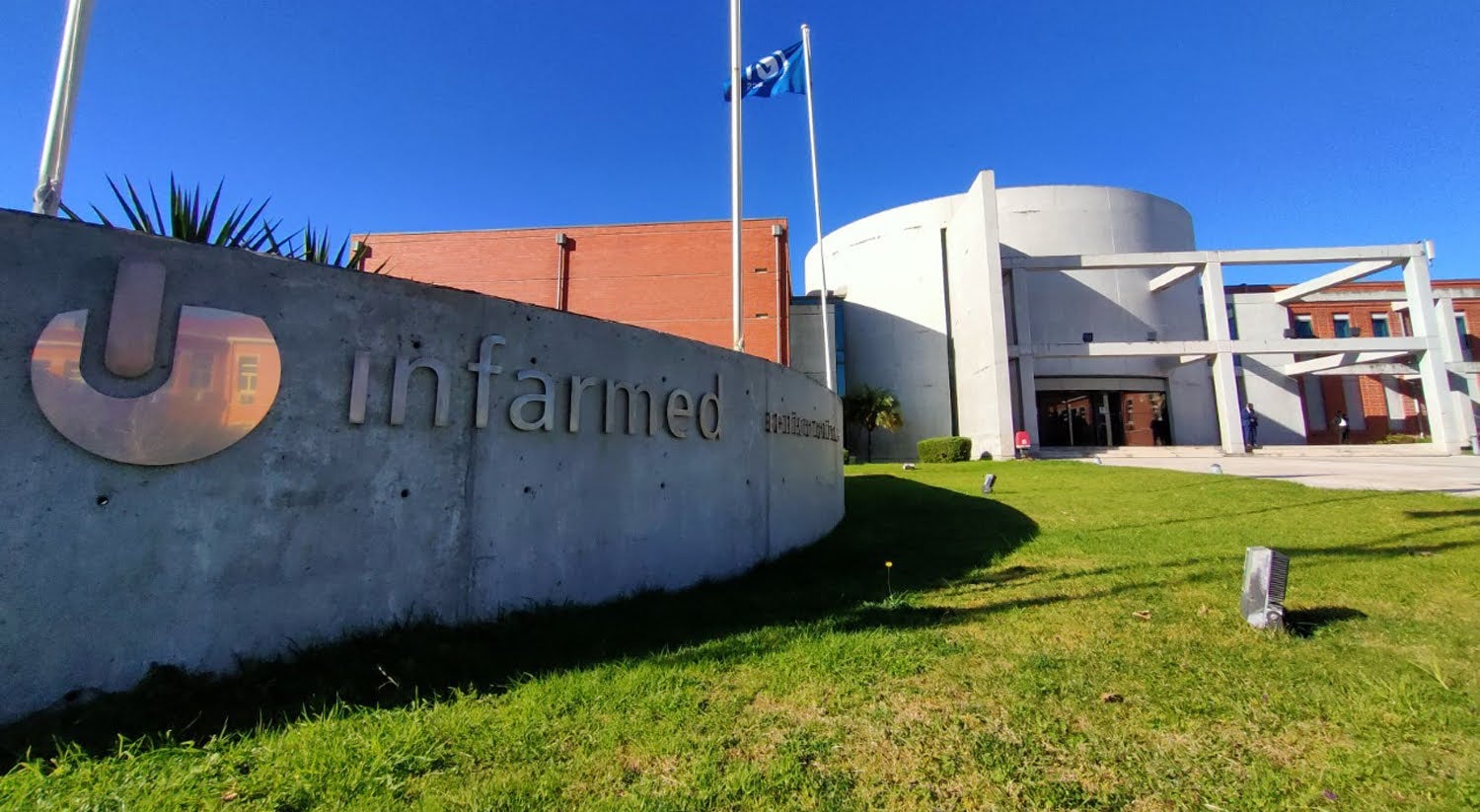 Presidente do Infarmed vai liderar a Agência Europeia do Medicamento