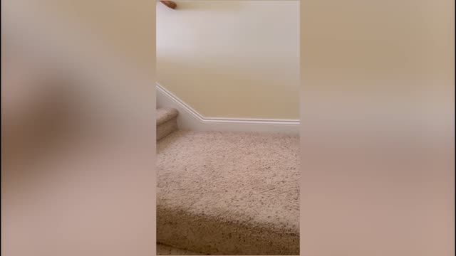 Woman Converts Disused Attic Space Into Stunning Walk-In Closet