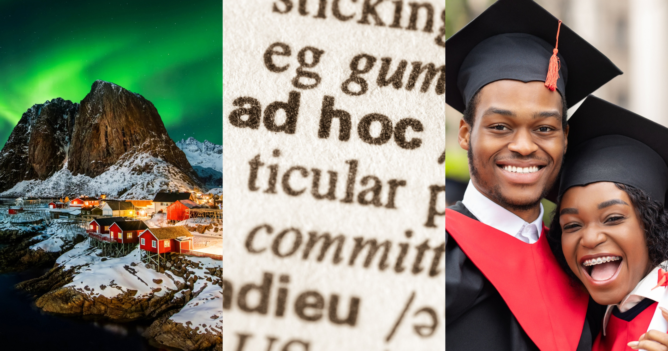 Le latin, une langue morte aux expressions encore bien vivantes