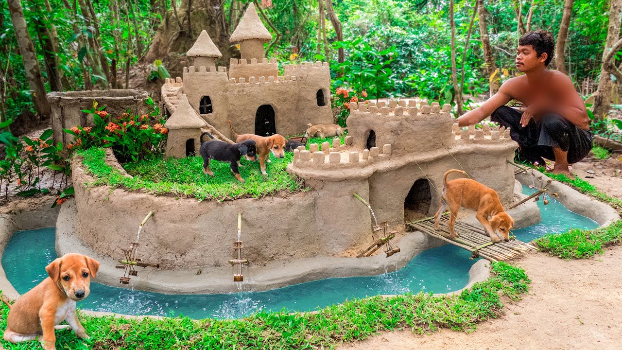 Building a castle-style mud villa for rescued puppies – complete with ...
