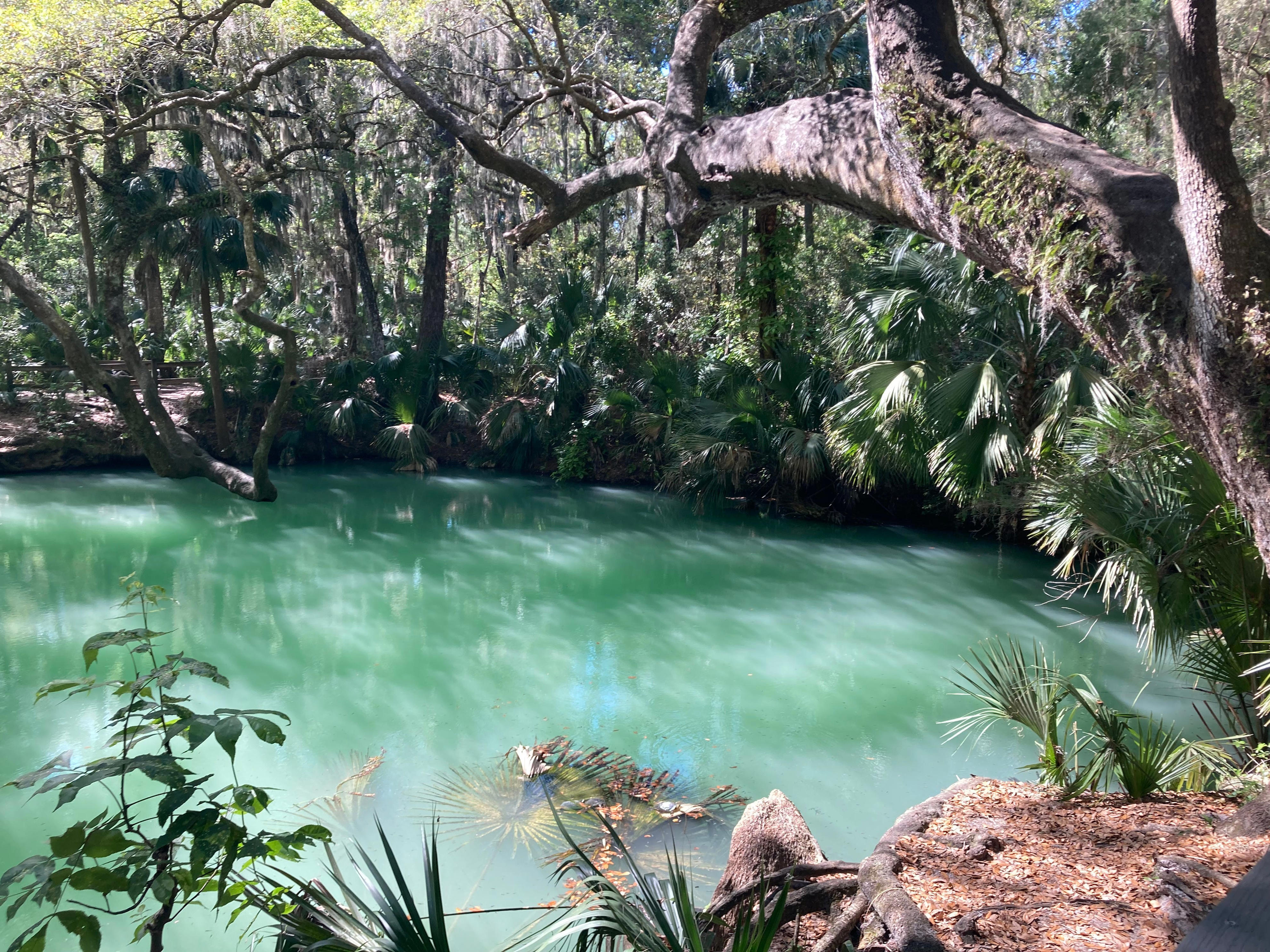 Volusia taxpayers to weigh in on how to spend millions of dollars from ...