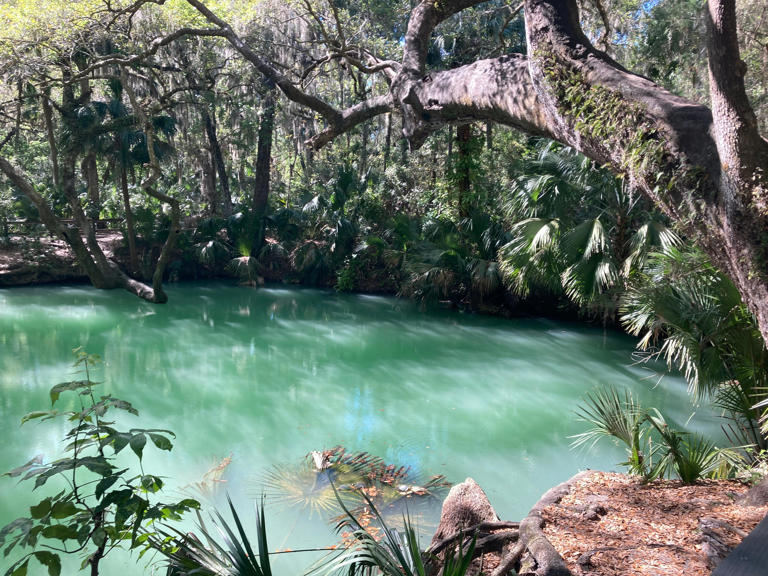 Volusia taxpayers to weigh in on how to spend millions of dollars from ...