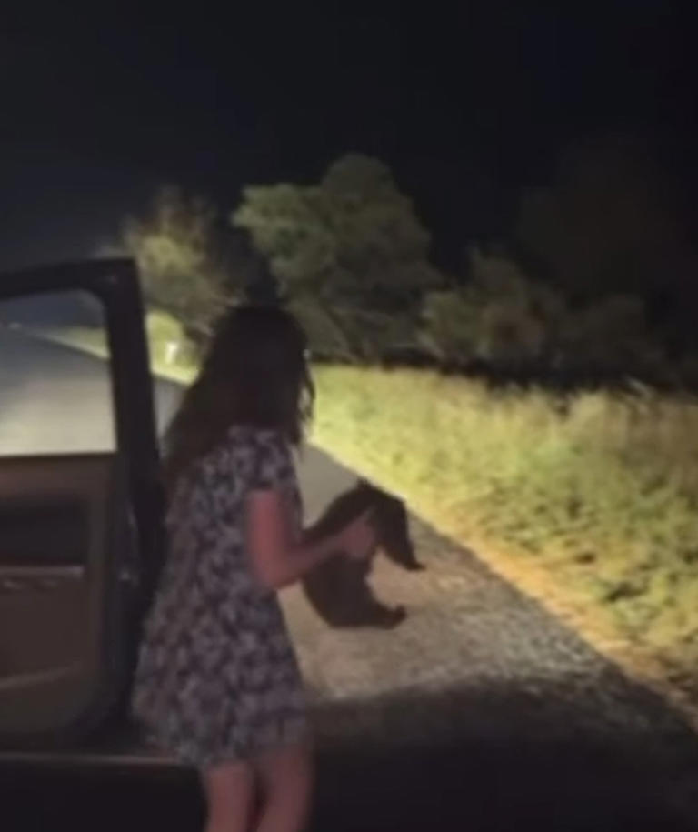 Sam Jones' baby wombat video is no worse than many 'cute' animal clips