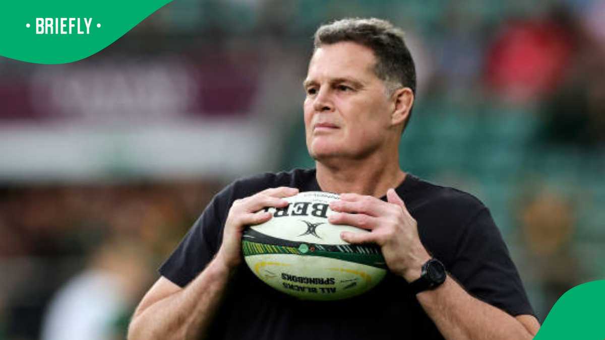 Scott Robertson sacked as Rassie Erasmus’ model reshapes Test rugby