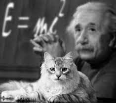 Schrödinger's cat equation unifies Einstein's theory of relativity and quantum mechanics