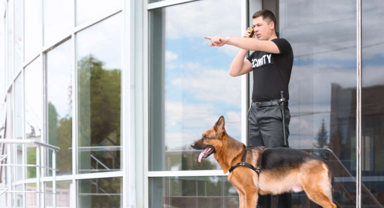 10 Tax Breaks Every Pet Owner Should Know About 10 Tax Breaks Every Pet Owner Should Know About
