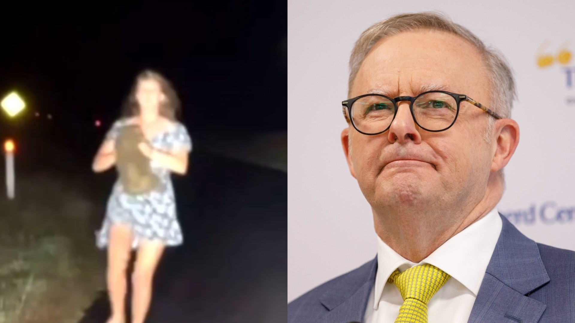 Albanese’s reaction to wombat theft is a ‘distraction’ from policy failures