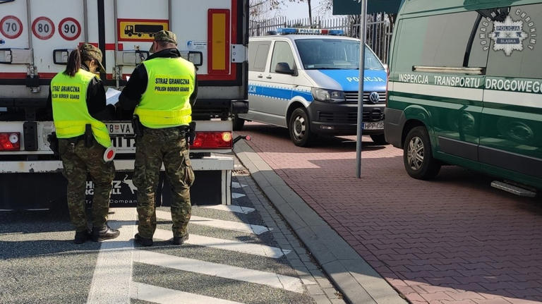 Polska uszczelnia granicę. Wszystko przez groźną chorobę na Słowacji