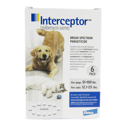 Best Heartworm Prevention for Cats: 5 Vet-Approved Picks