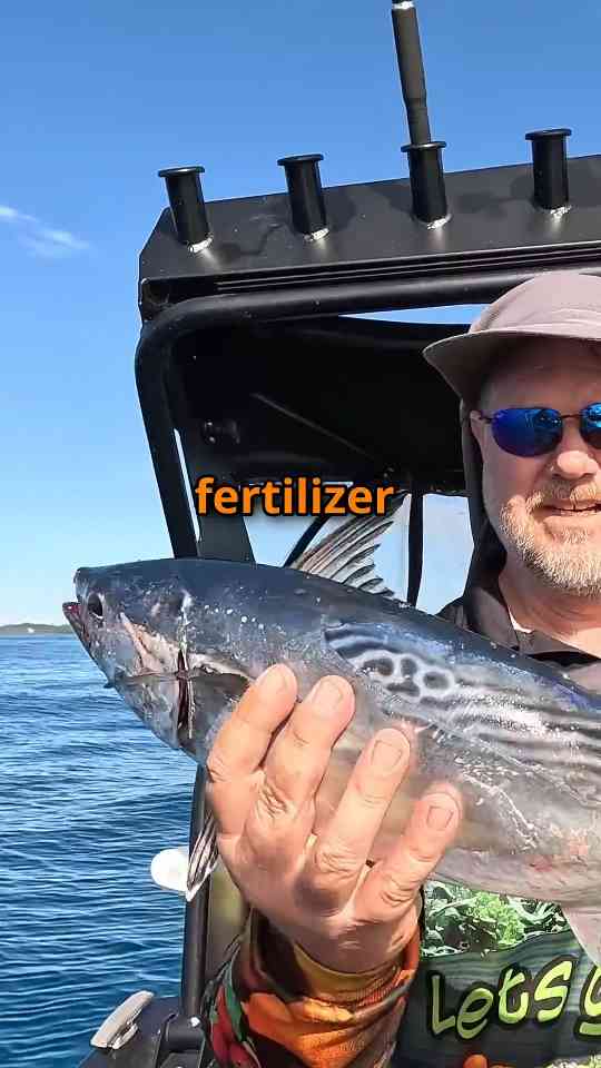 What Happens to Buried Fish Waste After 4 Months in the Garden