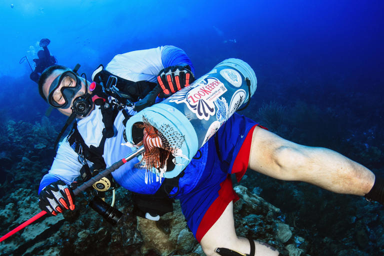 Could we solve Florida’s invasive animal problem by eating them ...