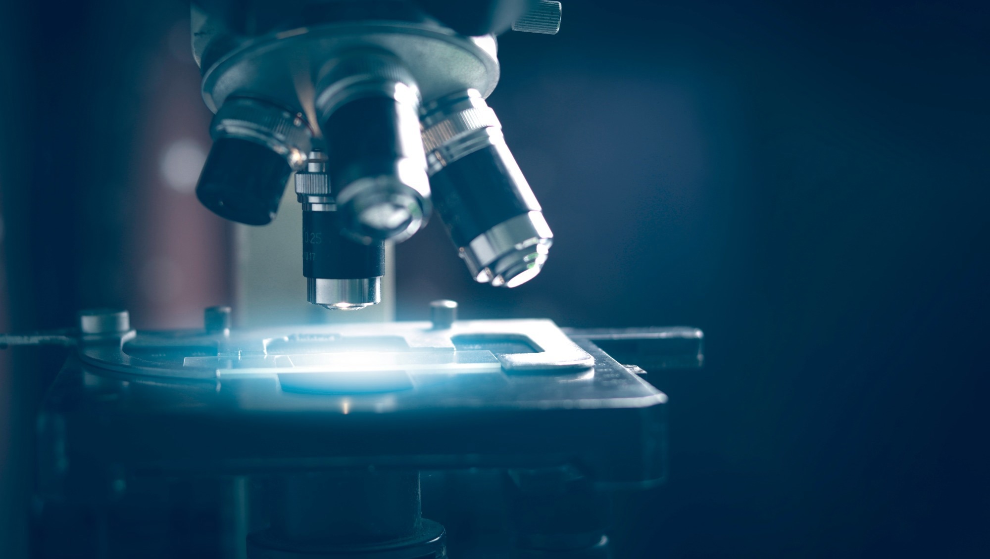 Nanovoxelated Material Fabrication Using Multiphoton Lithography