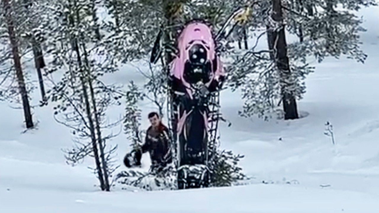 Can't park there! Driver hilariously crashes snowmobile into tree