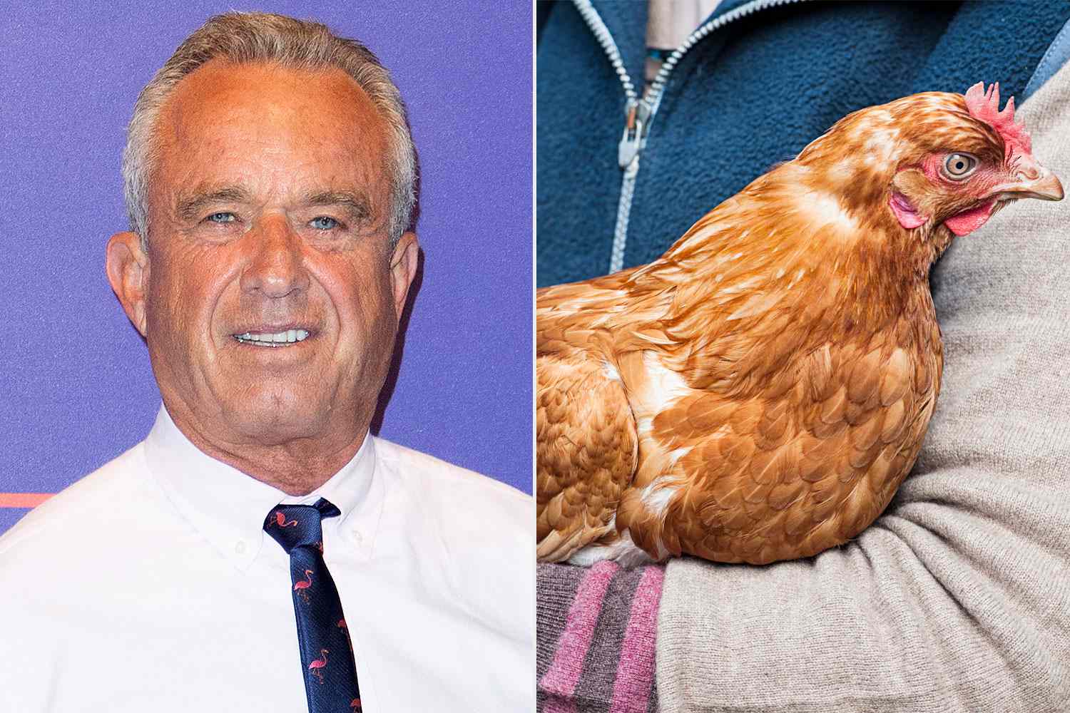RFK Jr. Says Vaccinating Birds Against Avian Flu Will Create ‘Mutation ...