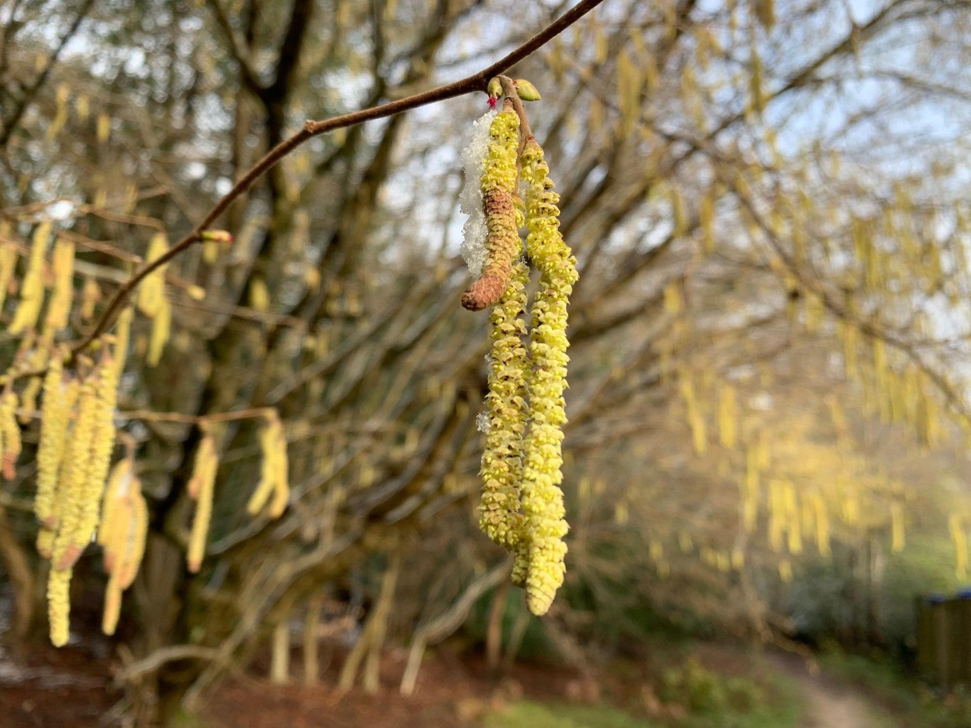 Paul Steedman, CPRE Sussex: Let's work together to fight catastrophic ...