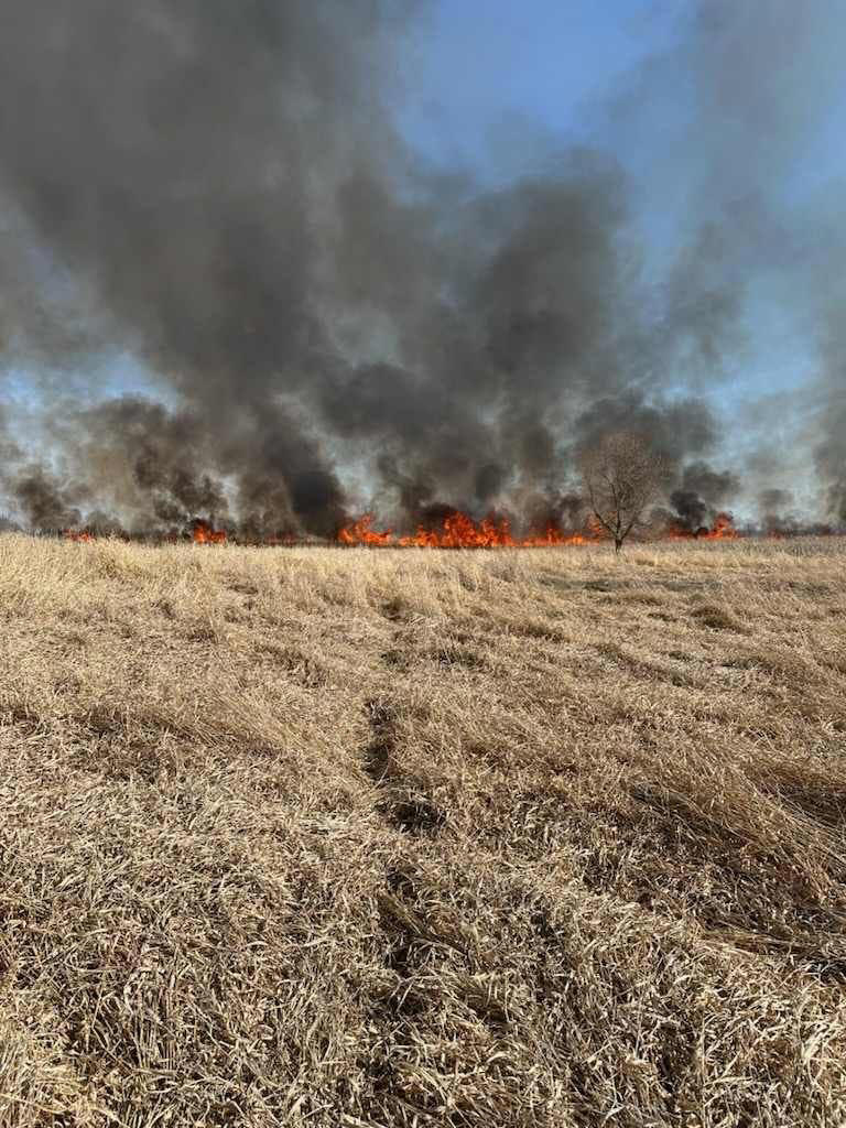 Waupun-area brush fire burned about 50 acres Wednesday and destroyed a ...