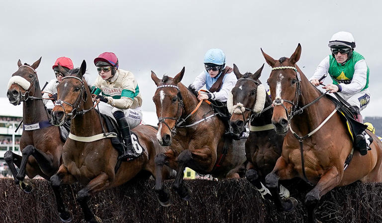 Here’s how much a pint of Guinness will set you back at Cheltenham