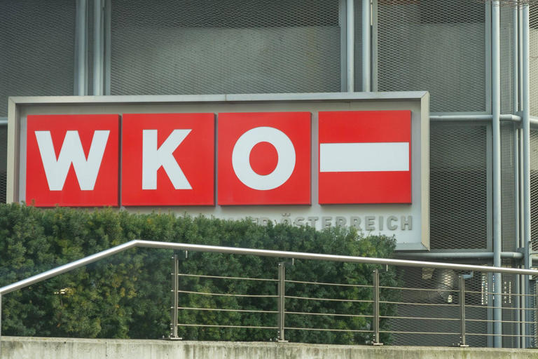 Wie das WKO-Wahlrecht den ÖVP-Wirtschaftsbund fast automatisch zum Wahlsieger macht