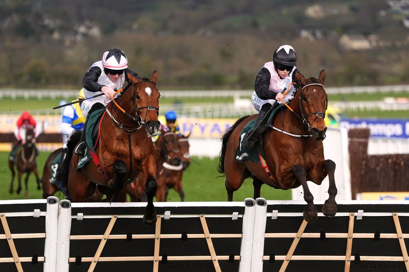 Cheltenham Festival 2025: Bob Olinger wins the Stayers' Hurdle