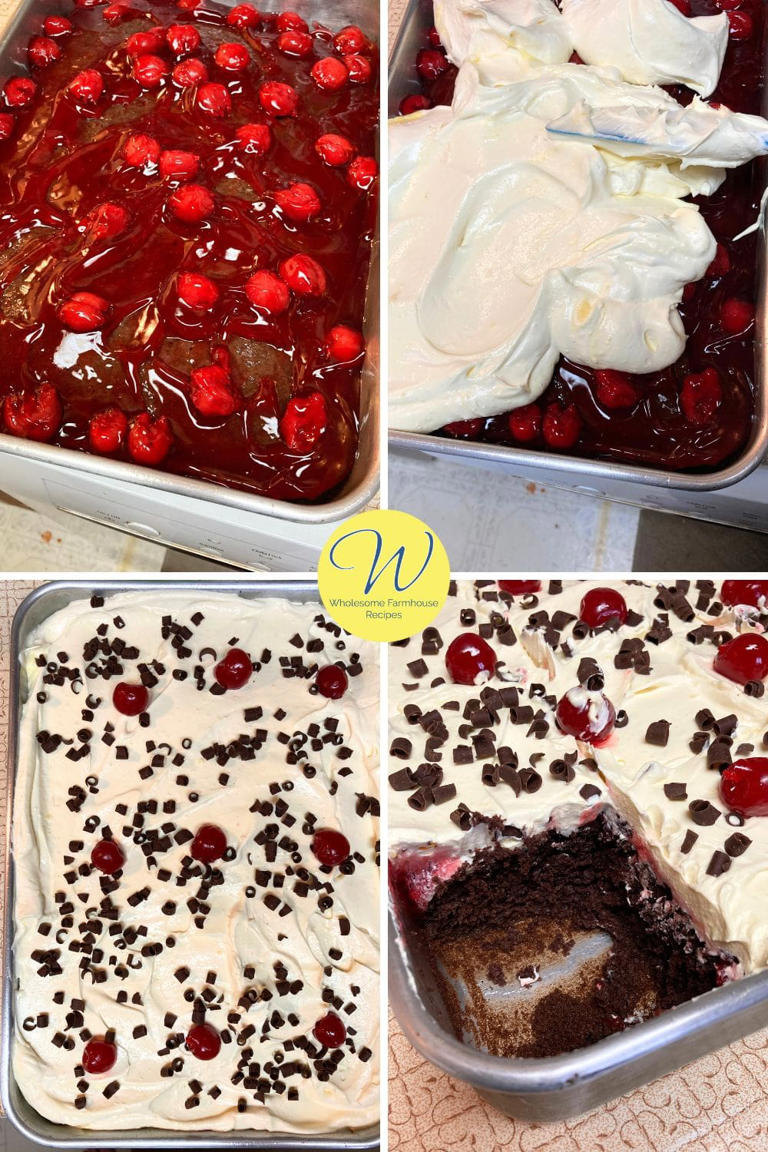 Black Forest cake recipe in a 9x13 pan – no fuss, all flavor