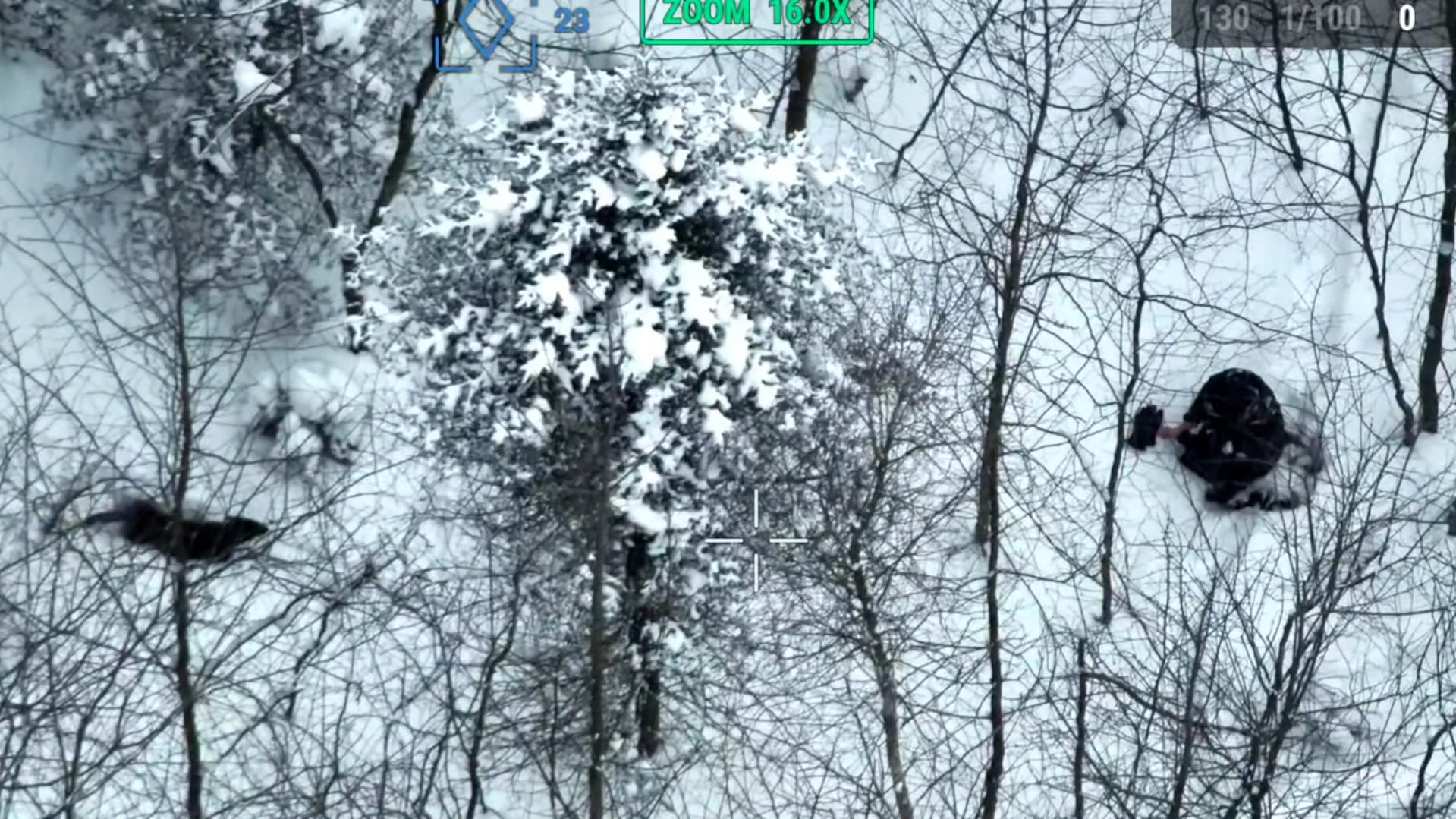 Watch a missing dog rescued after more than 24 hours in the snow