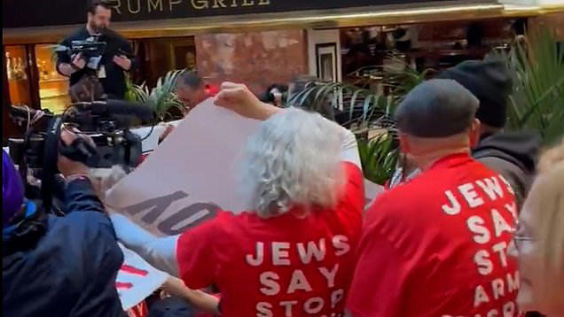 Nearly 100 protesters arrested after storming New York's Trump Tower